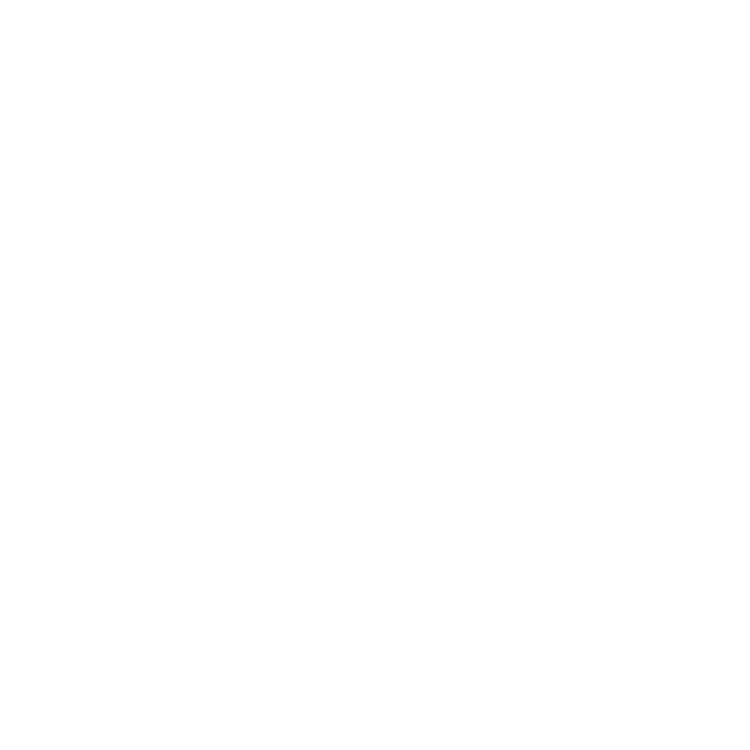 Formation EPL ENAC | Devenir Pilote de ligne